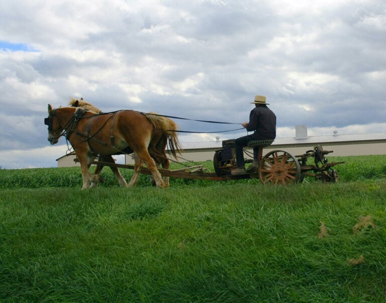 Ultimate day trip to Amish Country, PA - Day Tripping USA